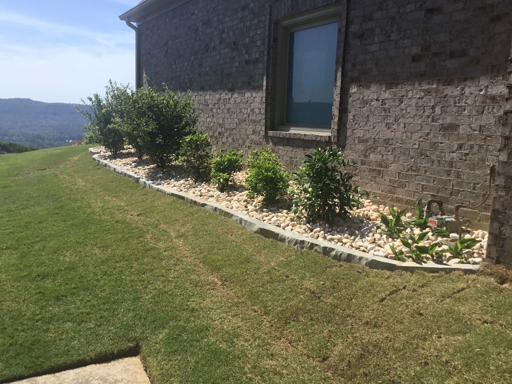 Foundation Planting 102 Advanced Turf Care Llc